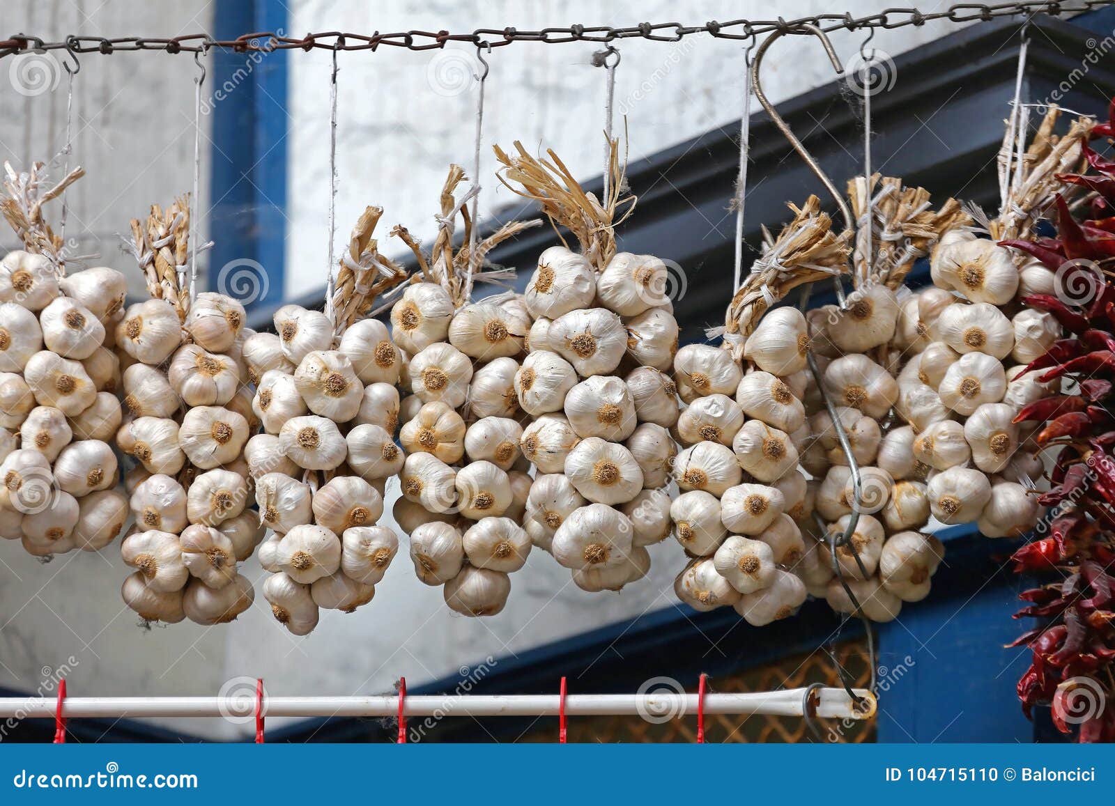 Garlic stock photo. Image of farmers, vegetables, strings - 104715110