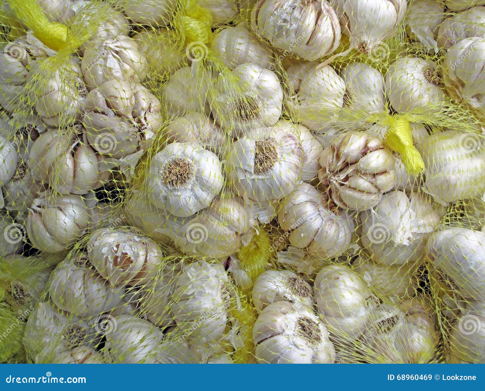 Garlic Bulbs stock image. Image of health, cloves, netted - 68960469