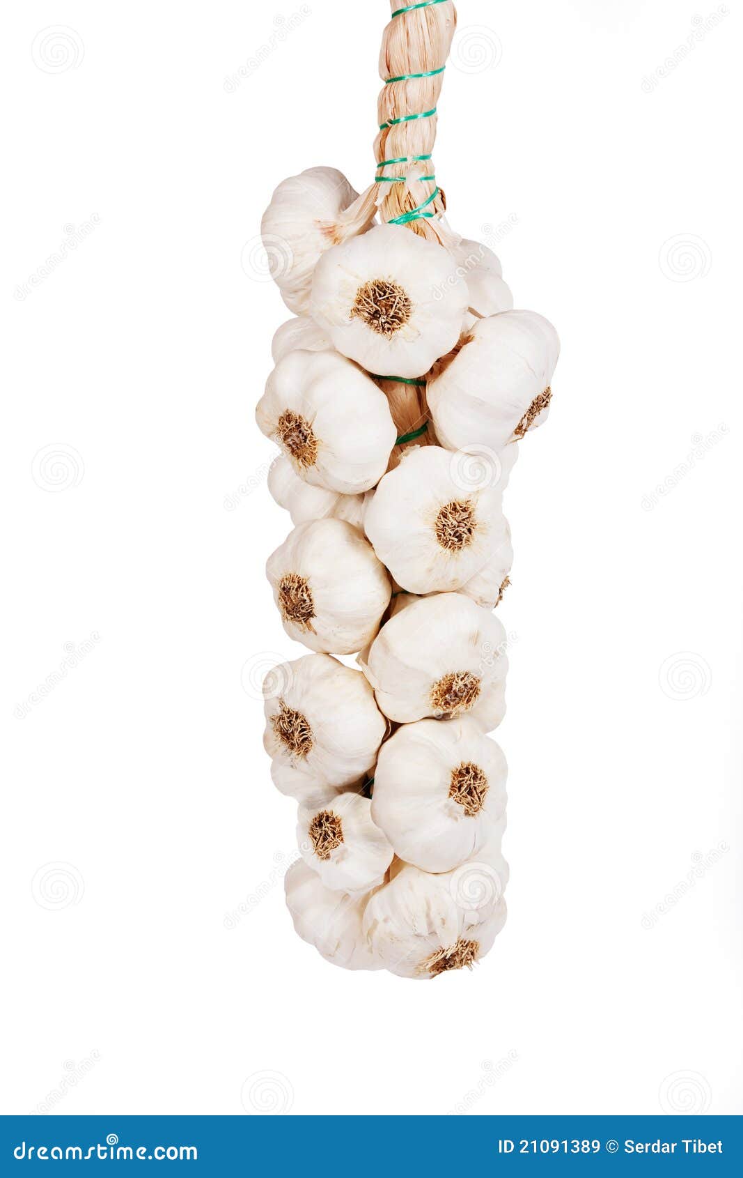 Garlic bunch stock image. Image of clove, cooking, herb - 21091389