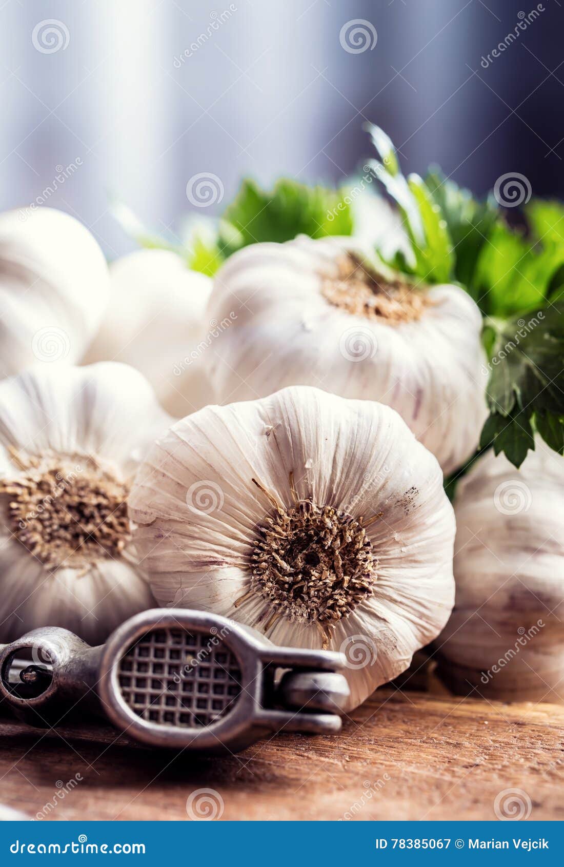 Garlic. Bunch of Fresh Garlic with Celery Herbs Stock Image - Image of ...