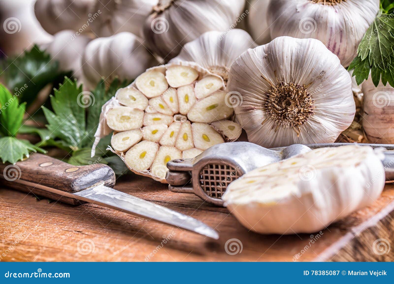 Garlic. Bunch of Fresh Garlic with Celery Herbs Stock Image - Image of ...