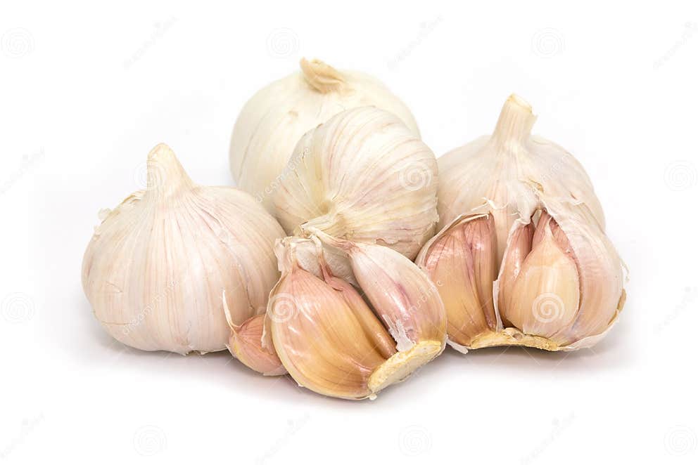 Garlic stock image. Image of spice, relish, white, nutrition - 30830127