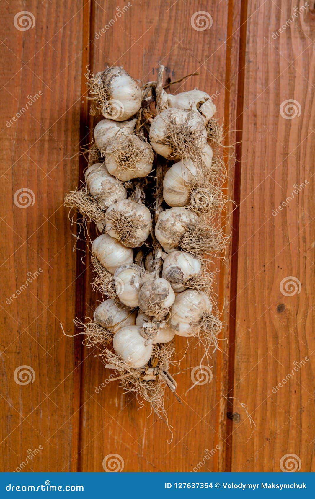 Garlic Bunch: Garlic Was Ready To Use in a Group of Bunch Stock Photo ...