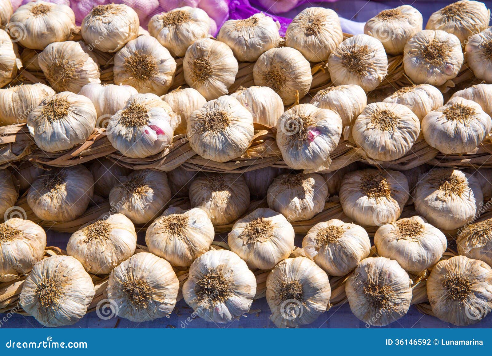 Garlic Bunches Stacked in a Row Stock Photo - Image of braid, healthy ...