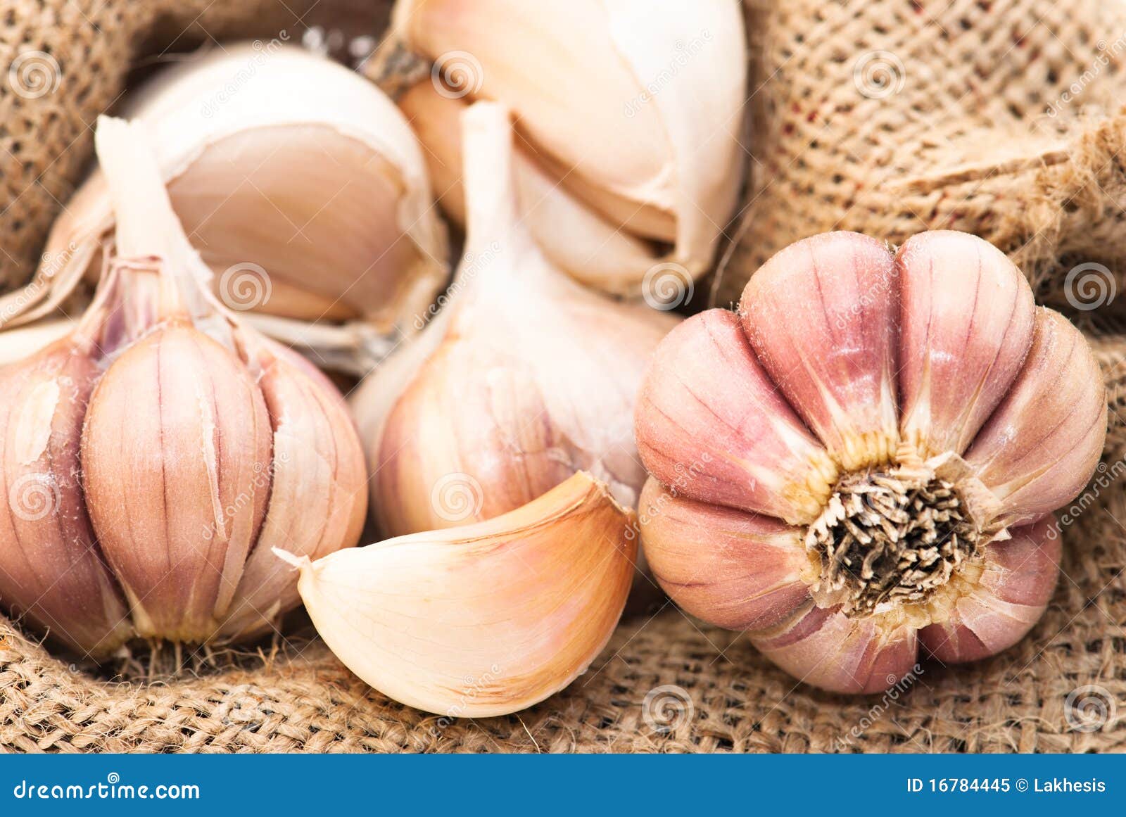 Garlic in canvas sack stock image. Image of natural, vitamins - 16784445