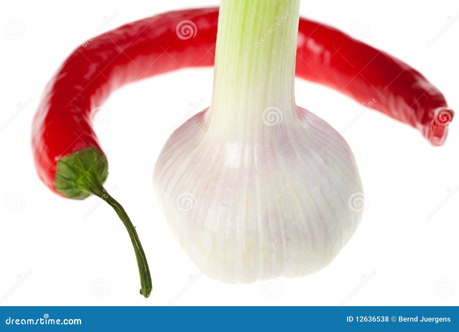 Garlic and chilli stock photo. Image of aroma, vegetable - 12636538