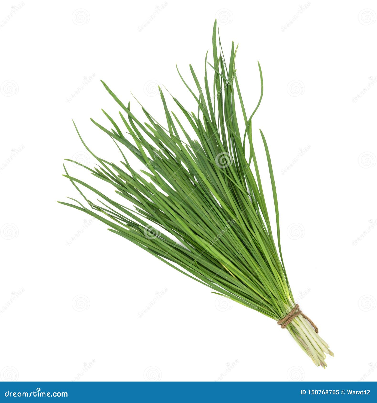 184 Chive Isolated Top View Photos - Free & Royalty-Free Stock Photos ...