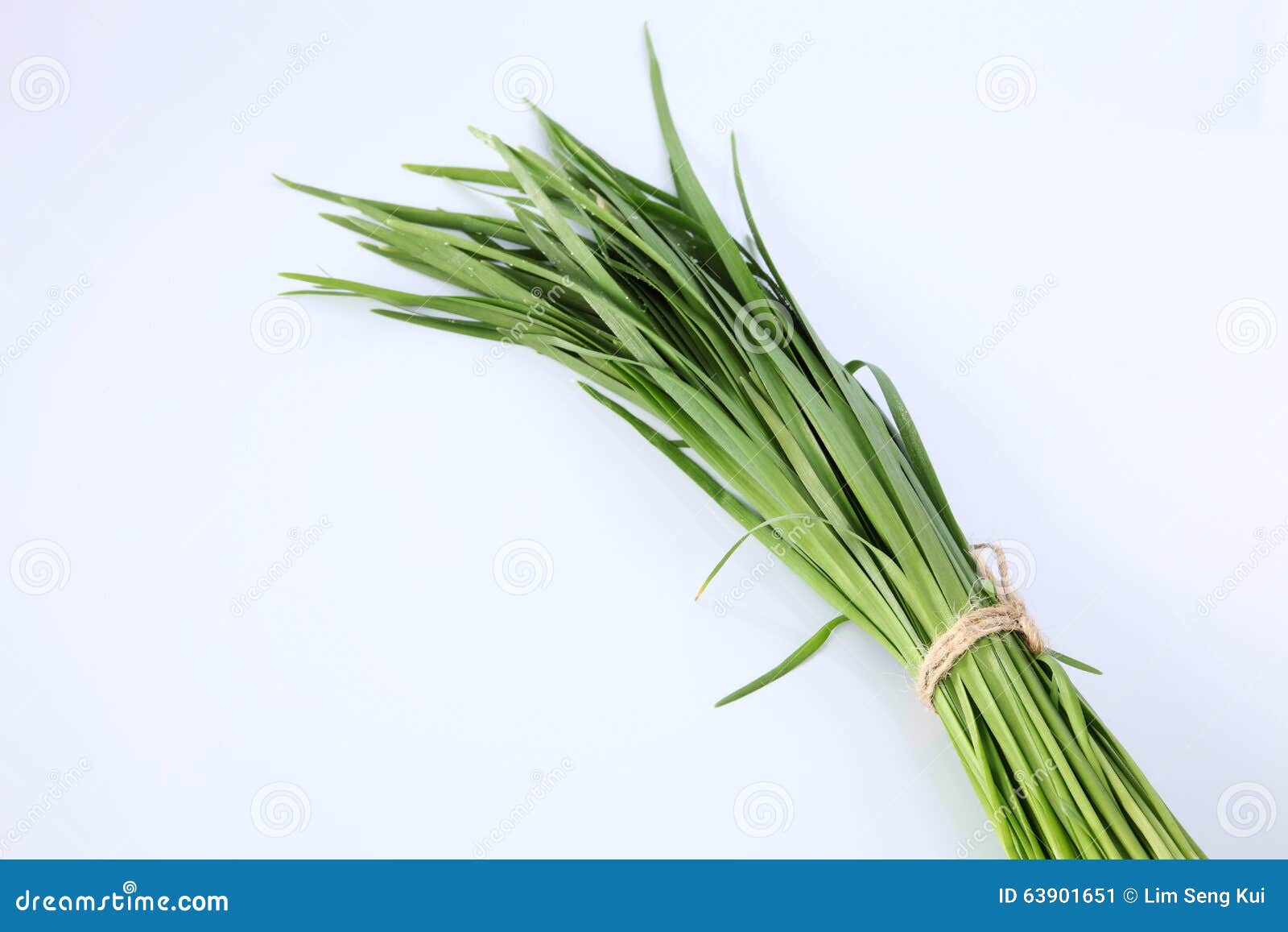 Garlic chives stock image. Image of plant, vegetable - 63901651