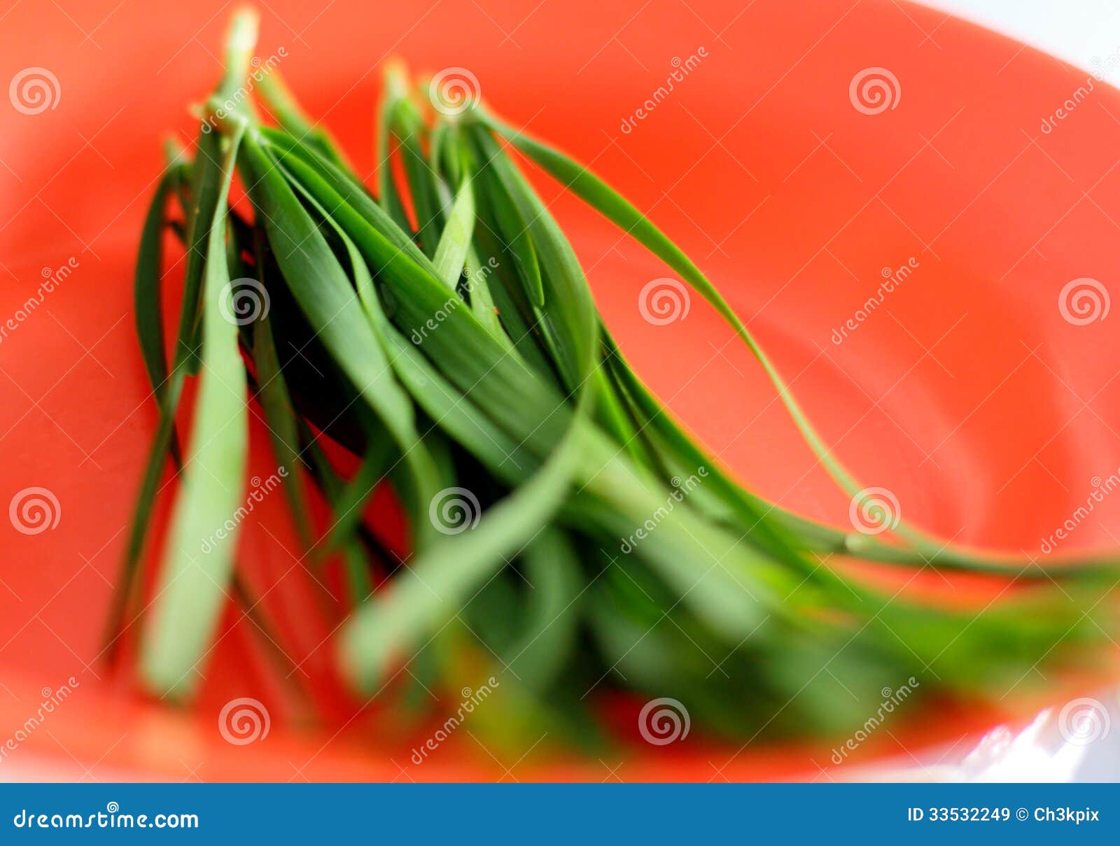 Garlic chives stock image. Image of leek, aroma, ingredient - 33532249