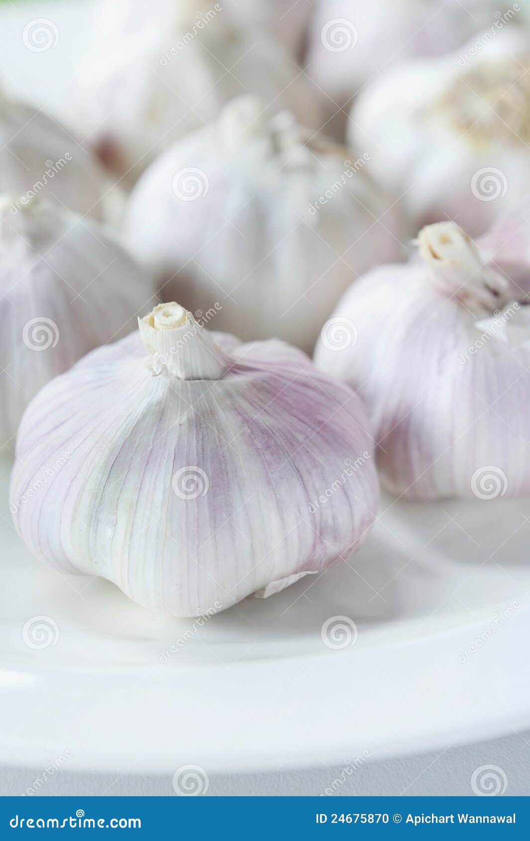 Garlic close up stock photo. Image of organic, closeup - 24675870