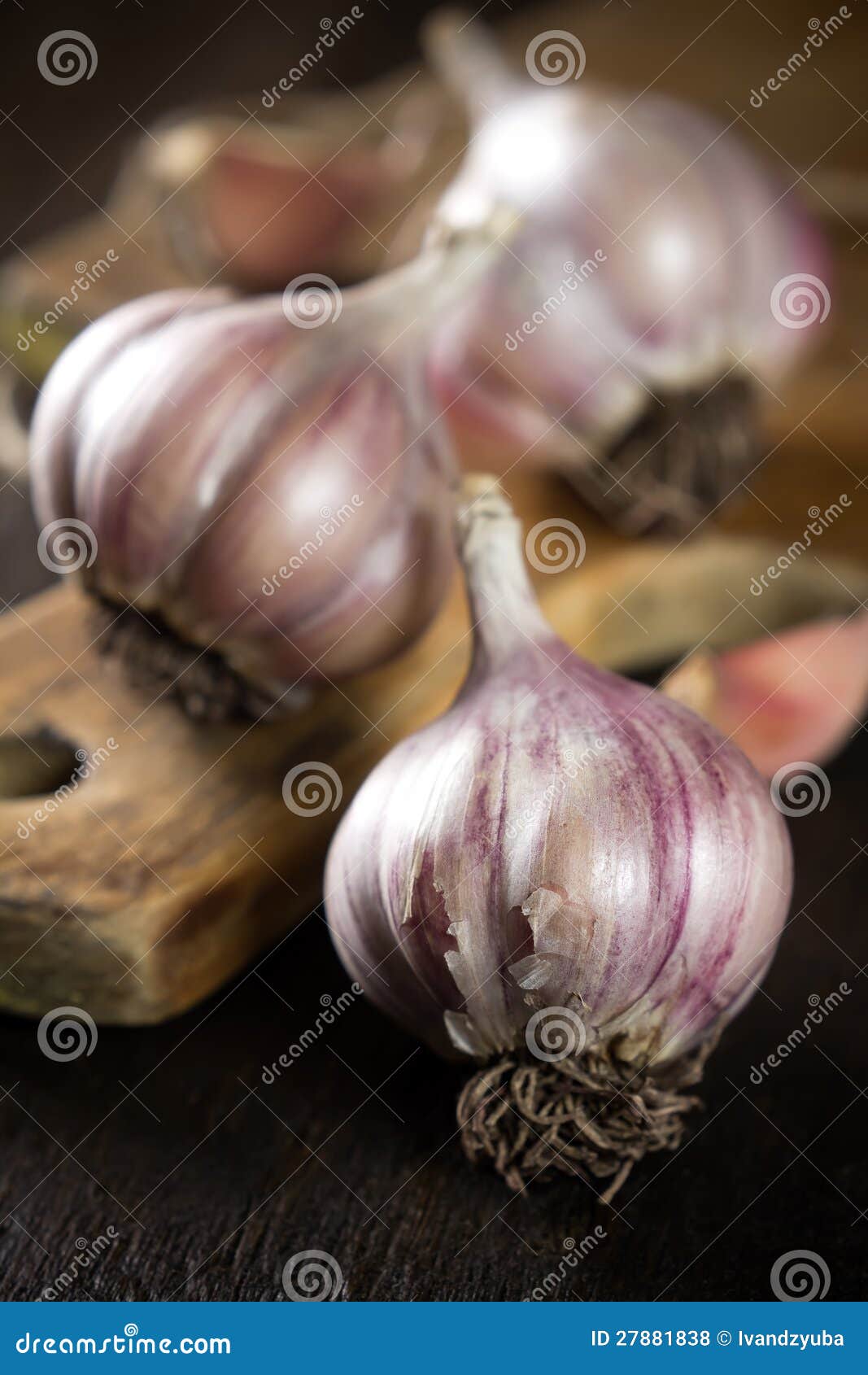 Garlic close up stock photo. Image of harvest, home, healthful - 27881838