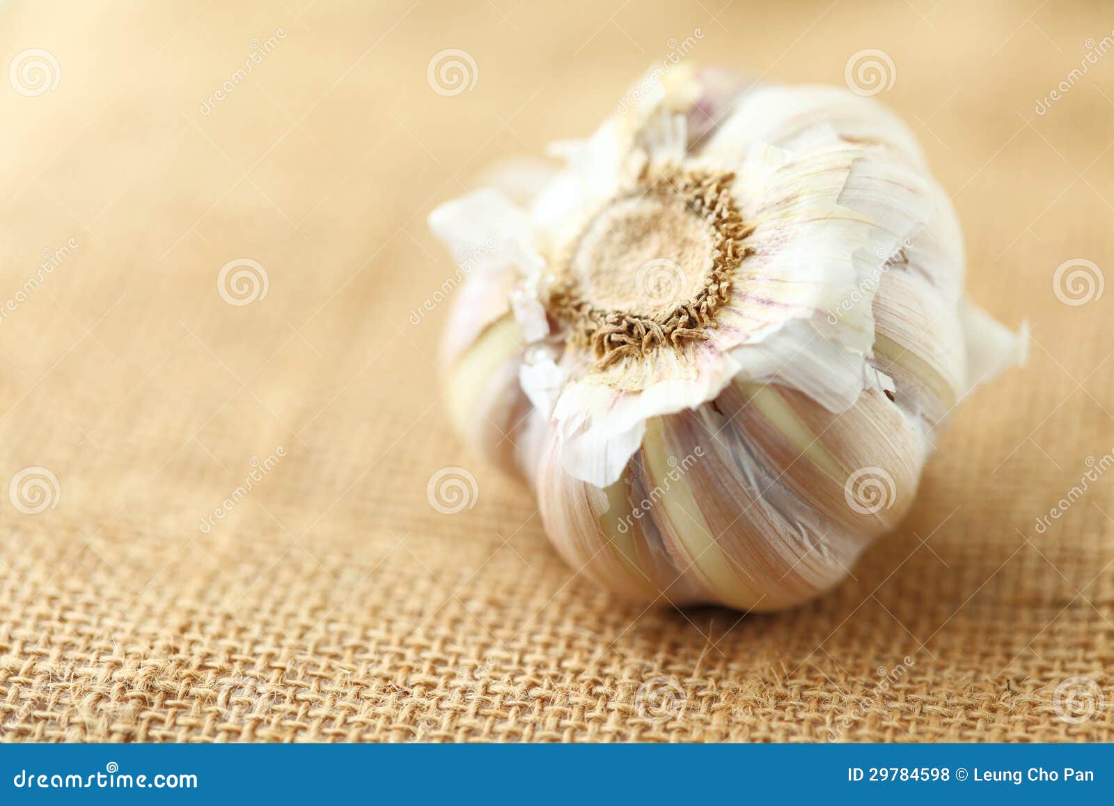 Garlic stock photo. Image of food, herb, eating, close - 29784598