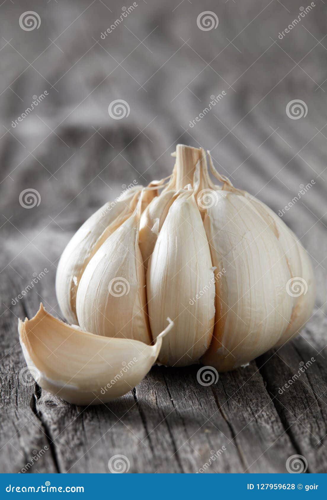 Garlic close-up detail stock photo. Image of drink, macrophotography ...