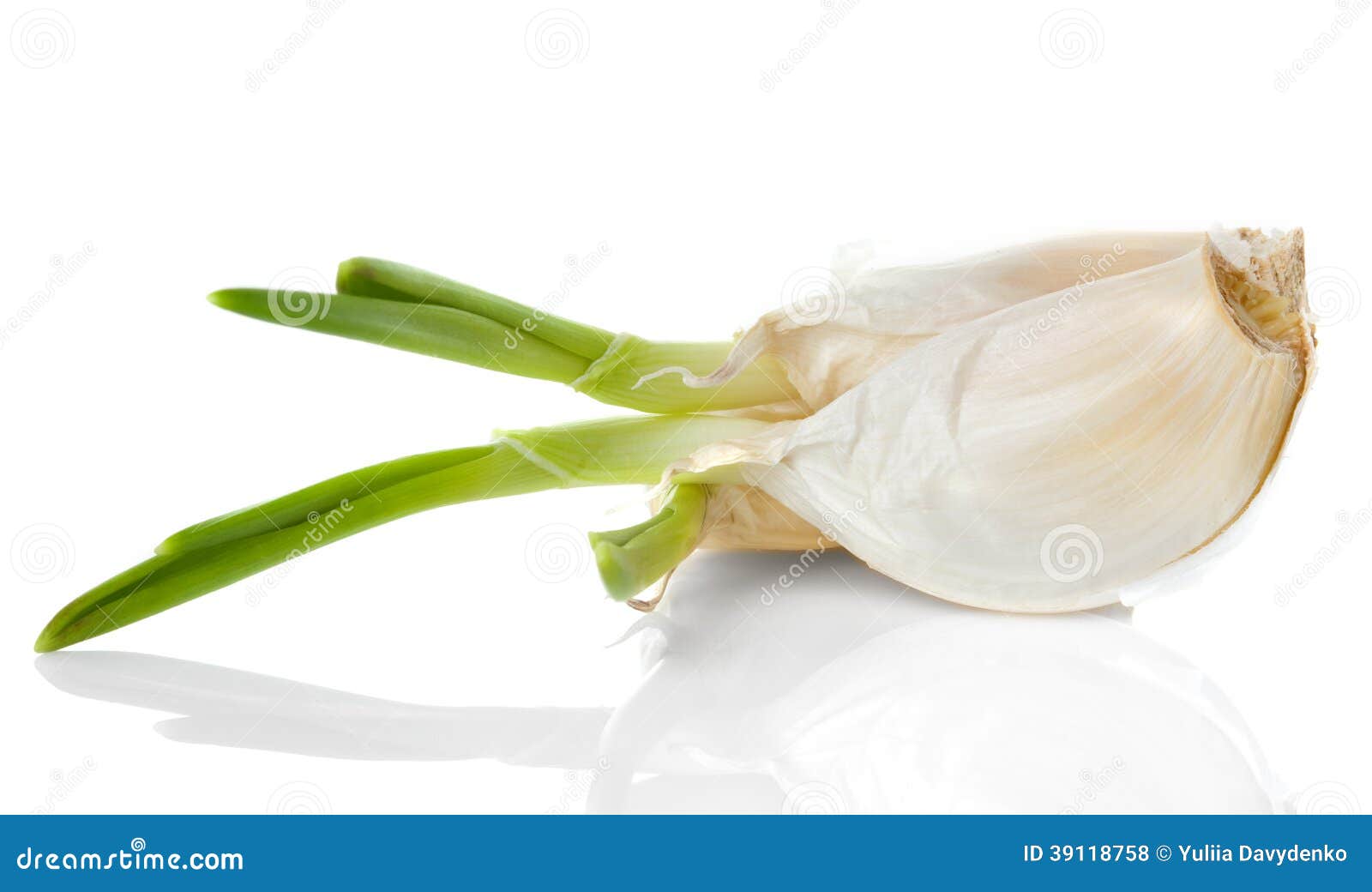Garlic stock photo. Image of plant, group, nutrition - 39118758