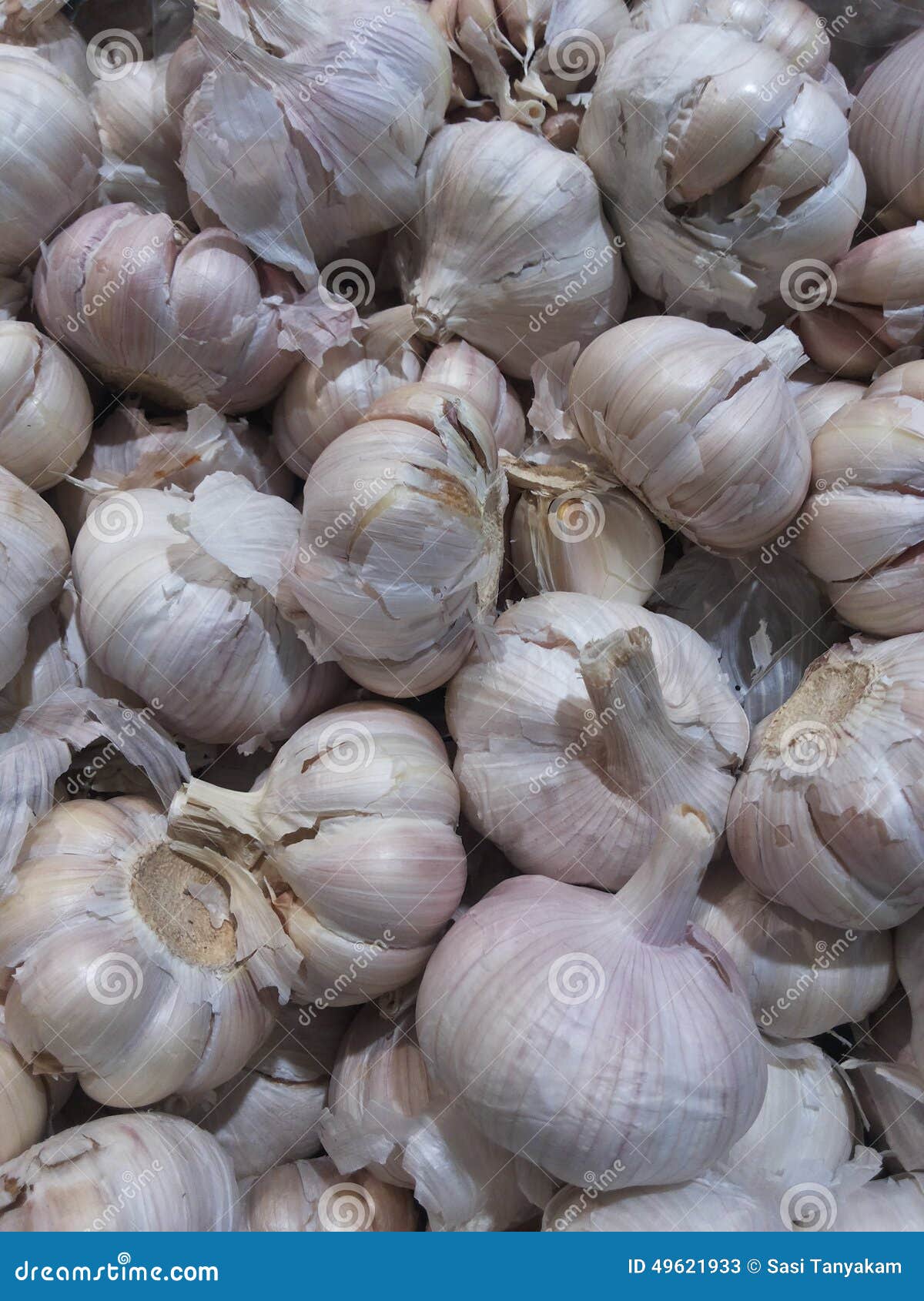 Garlic stock image. Image of cooking, food, closeup, garlic - 49621933