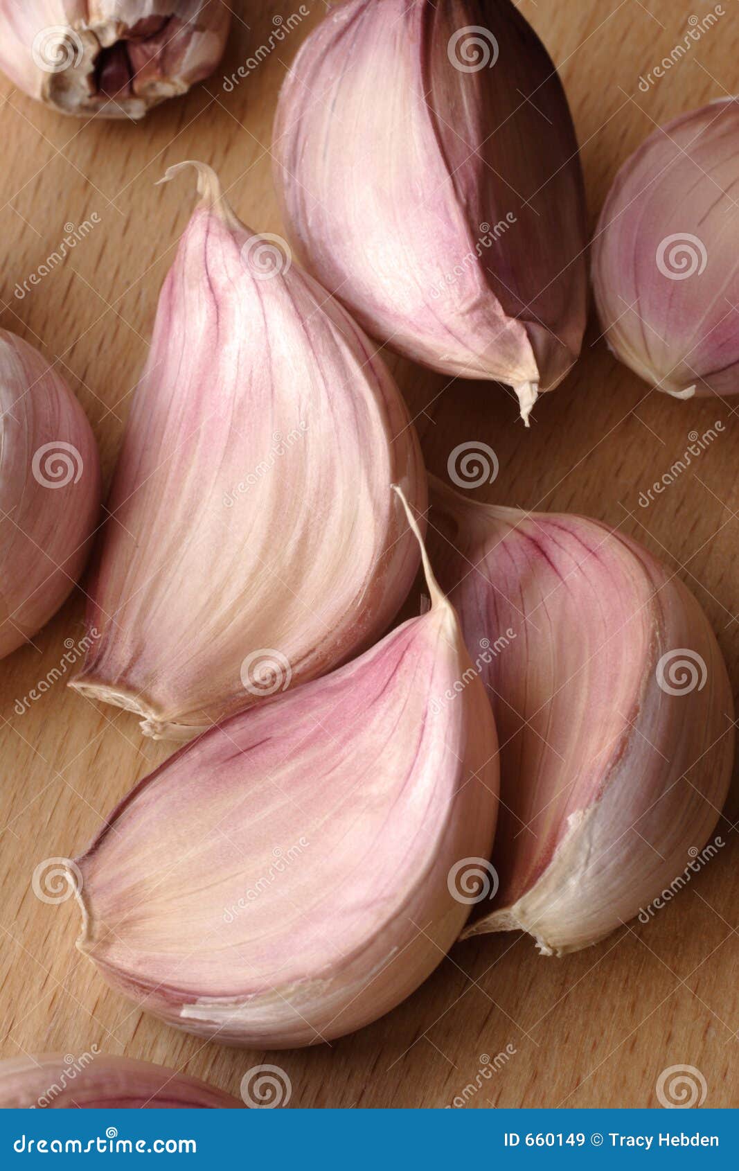 Garlic clove stock image. Image of ingredient, anticoagulant - 660149