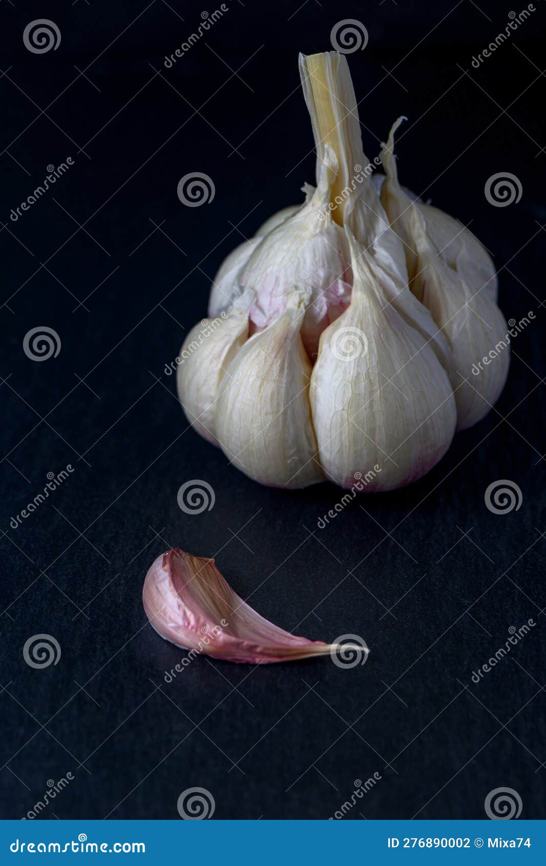Garlic and Clove Side View of Garlic on Black Background Studio Shot 1 ...