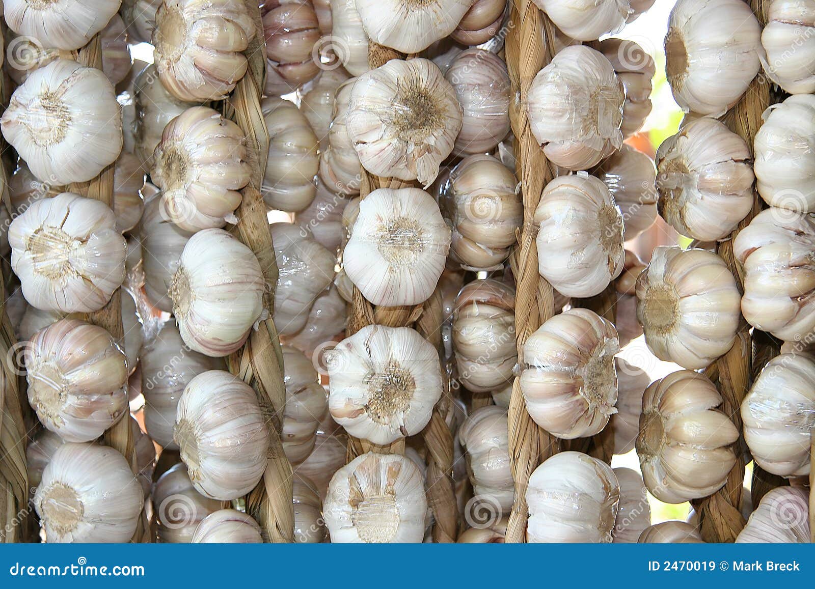 Garlic cloves stock image. Image of hanging, store, ingredient - 2470019