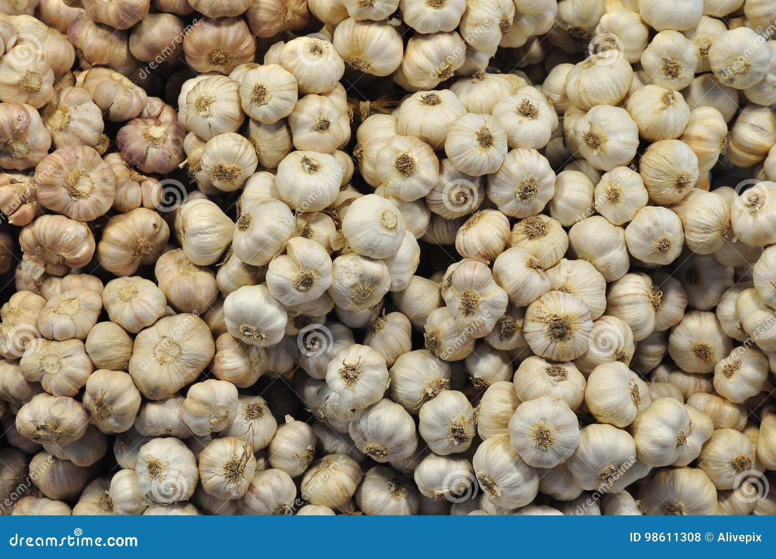 Garlic stock photo. Image of ingredient, bunch, smell - 98611308
