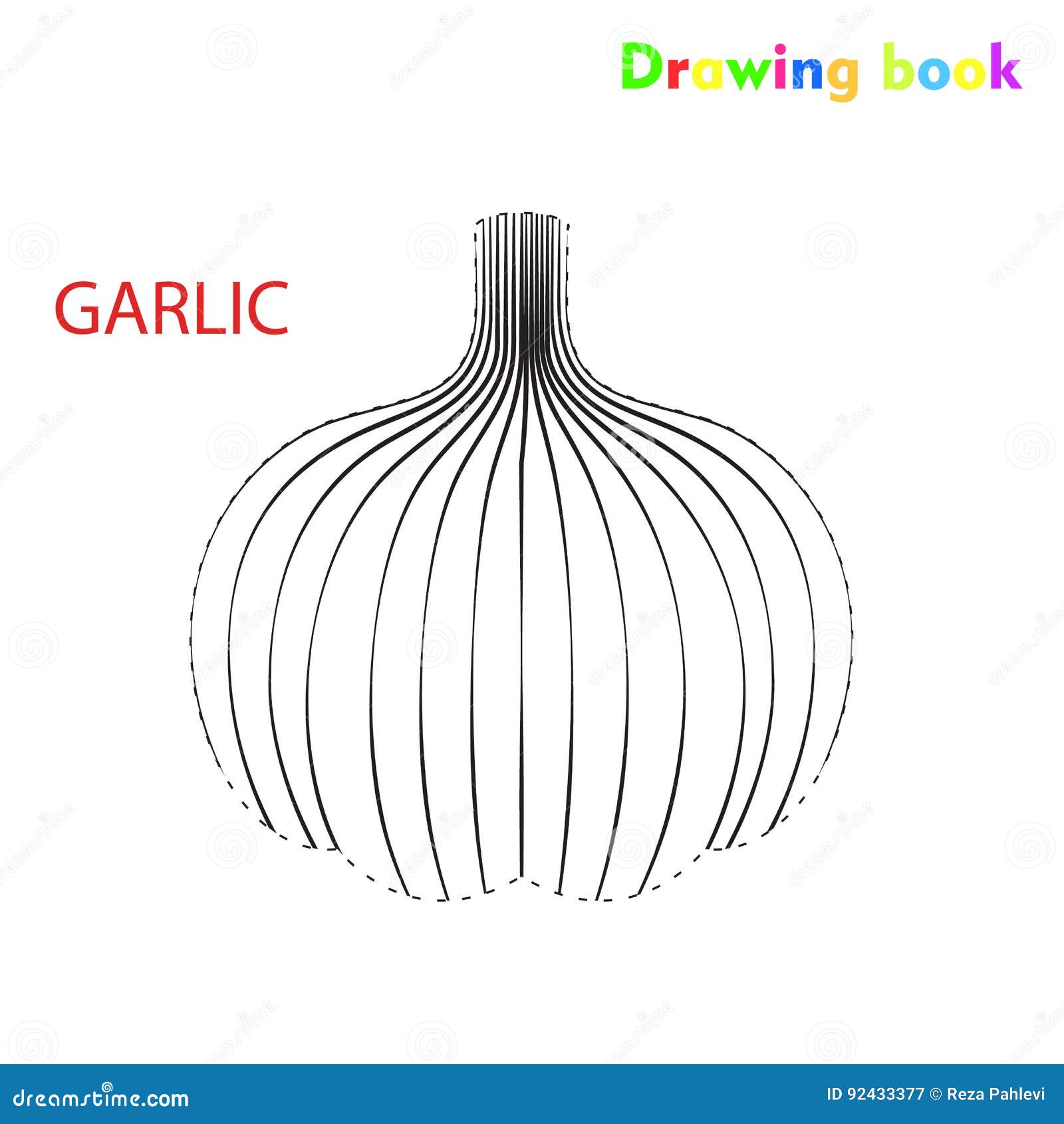 Garlic Coloring and Drawing Book Vegetable Design Illustration Stock ...
