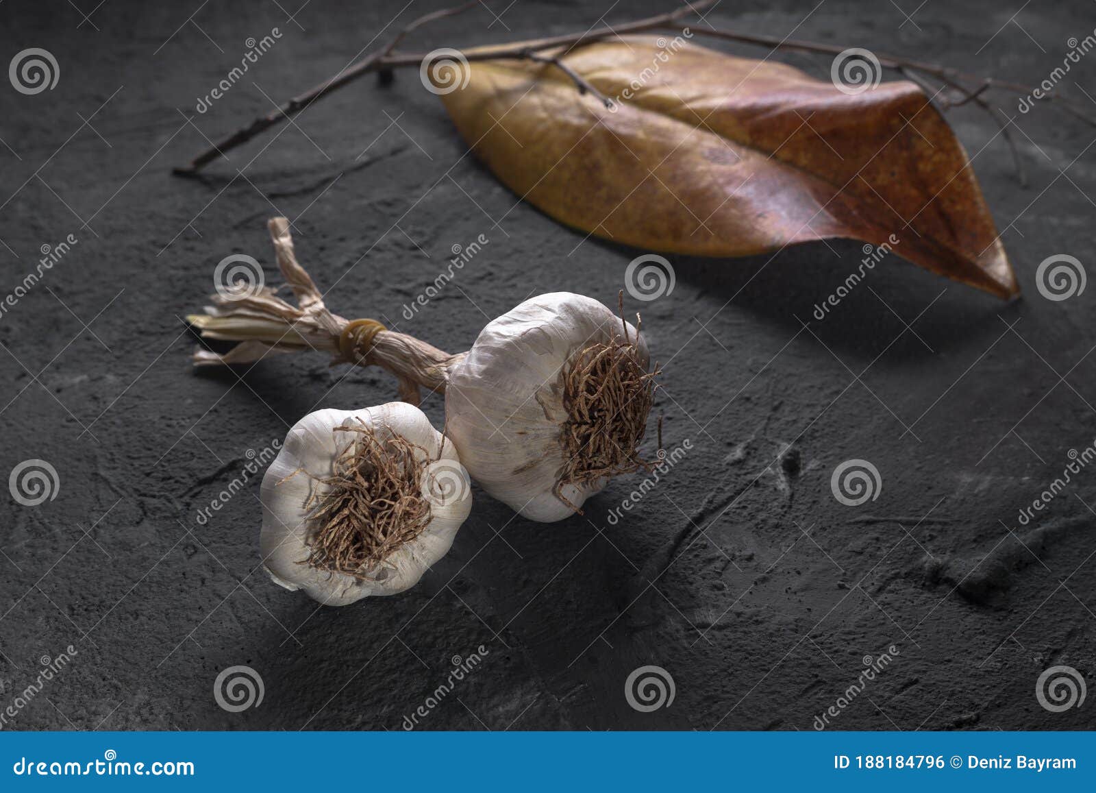 Garlic Concept on Stone Floor Stock Photo - Image of life, presentation ...