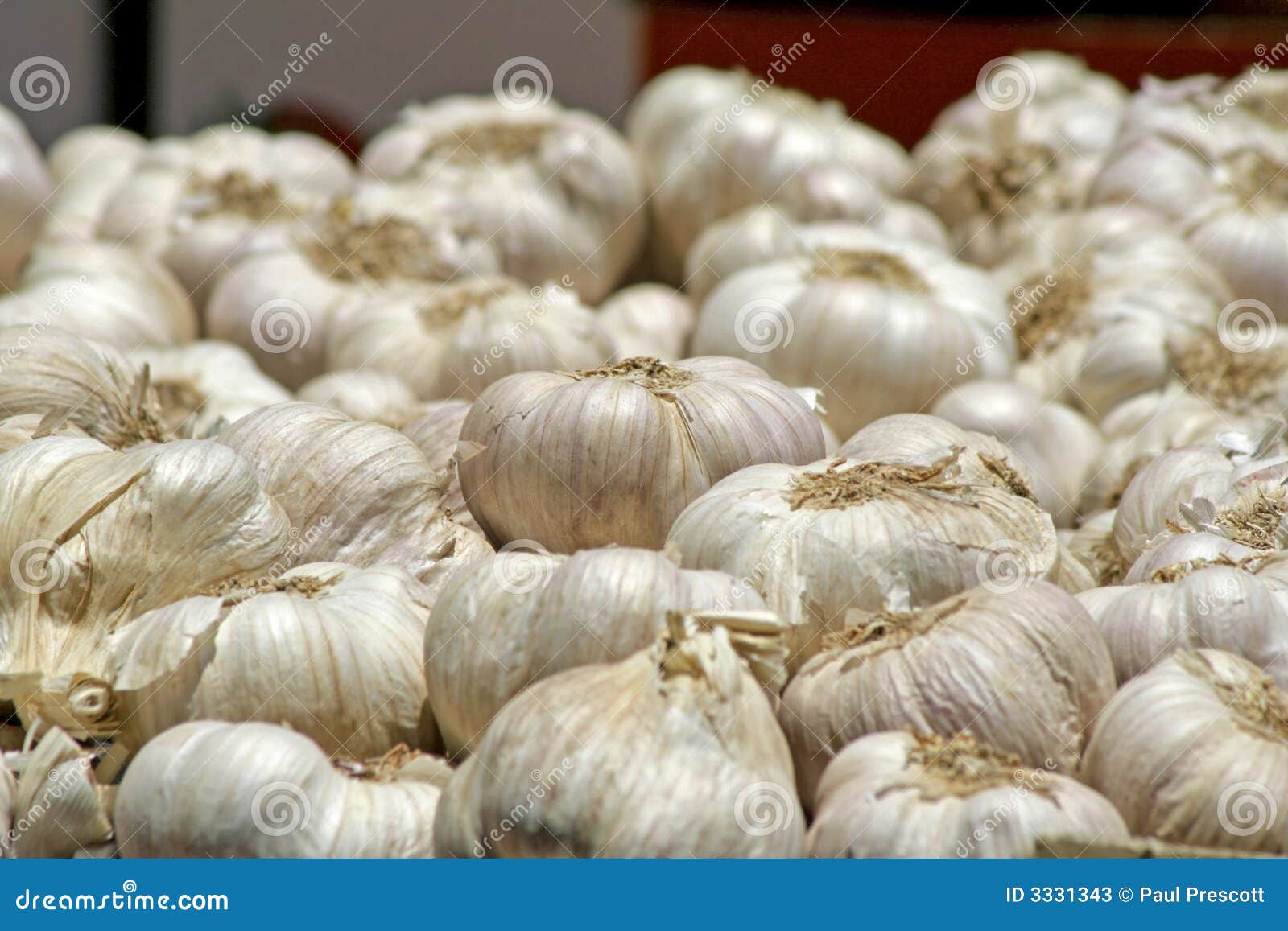 Garlic On Display Picture. Image: 3331343