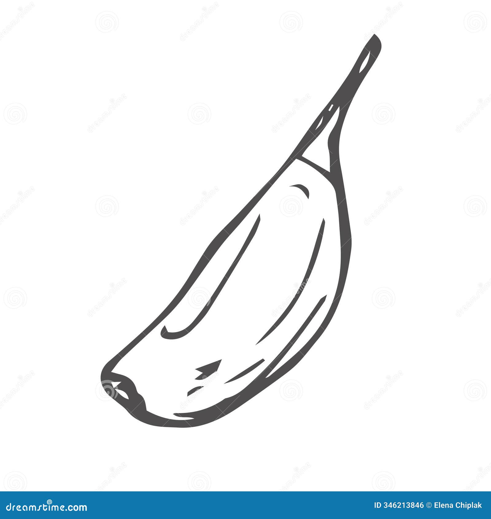 Garlic Doodle Sketch Set in Vector. Garlic Clove Stock Illustration ...