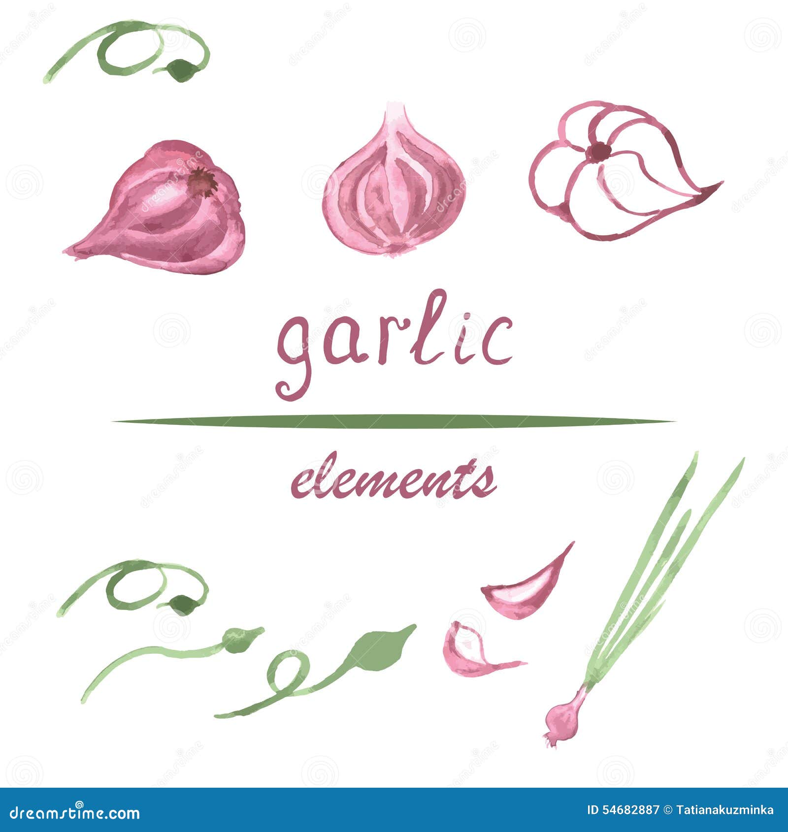 Garlic elements stock vector. Illustration of ingredient - 54682887