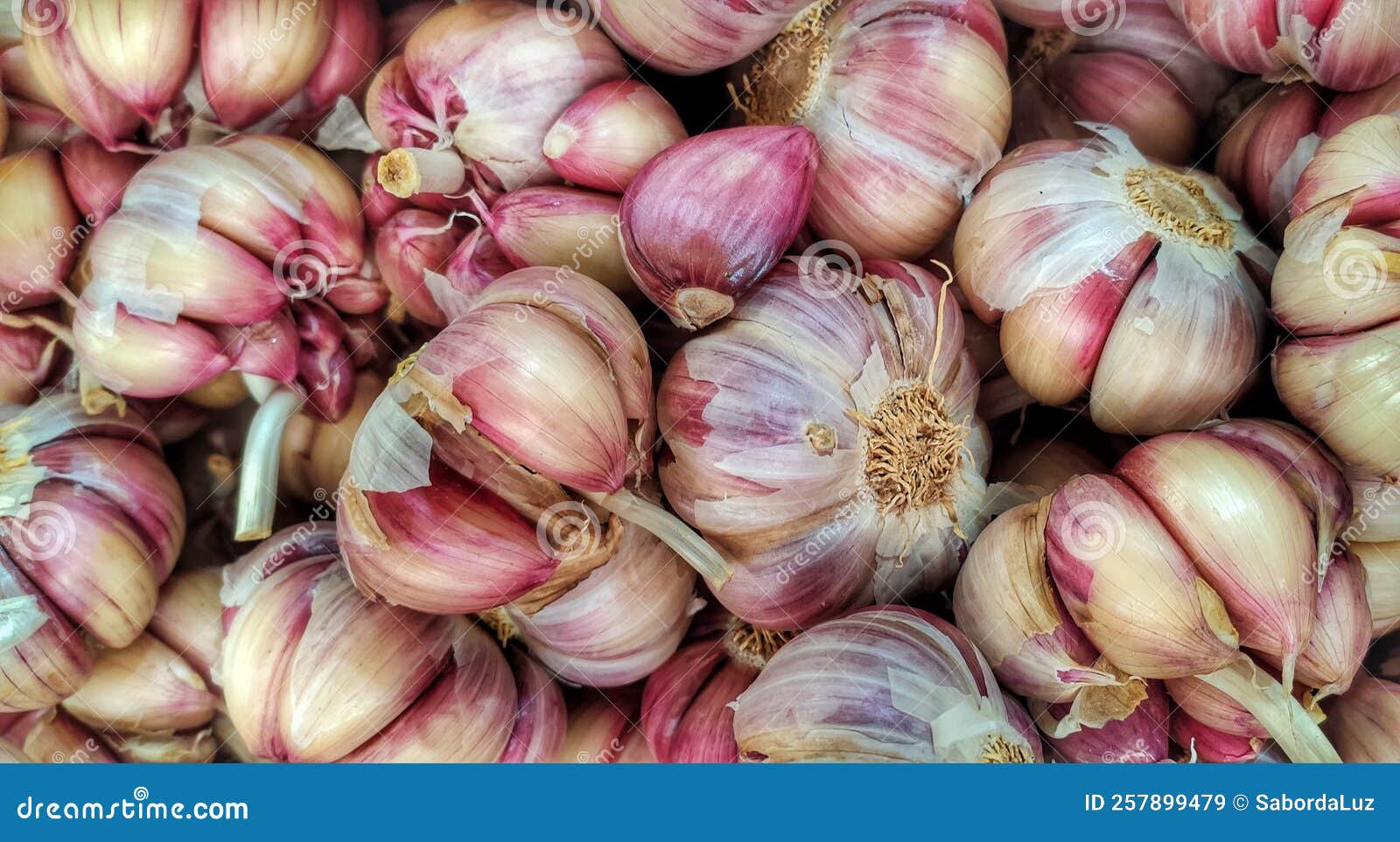Garlic in a fair stock image. Image of fundo, beautiful - 257899479