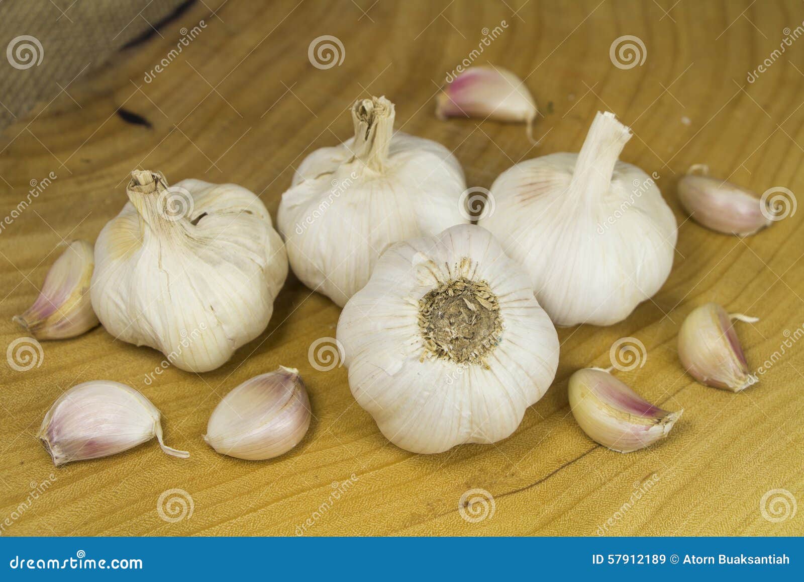 Garlic form Oganic farm stock image. Image of burlap - 57912189