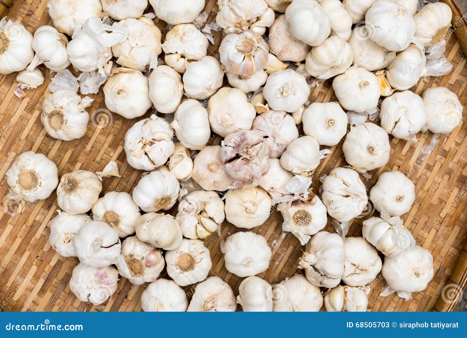 Garlic , Fresh garlic stock image. Image of group, spicy - 68505703