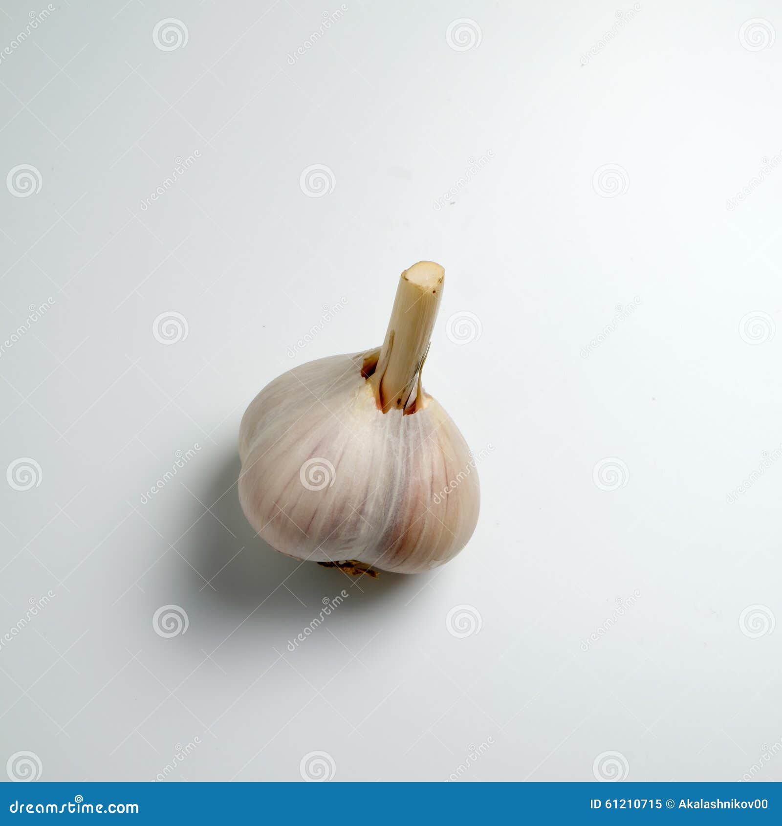 Garlic stock image. Image of healthy, white, object, spiciness - 61210715