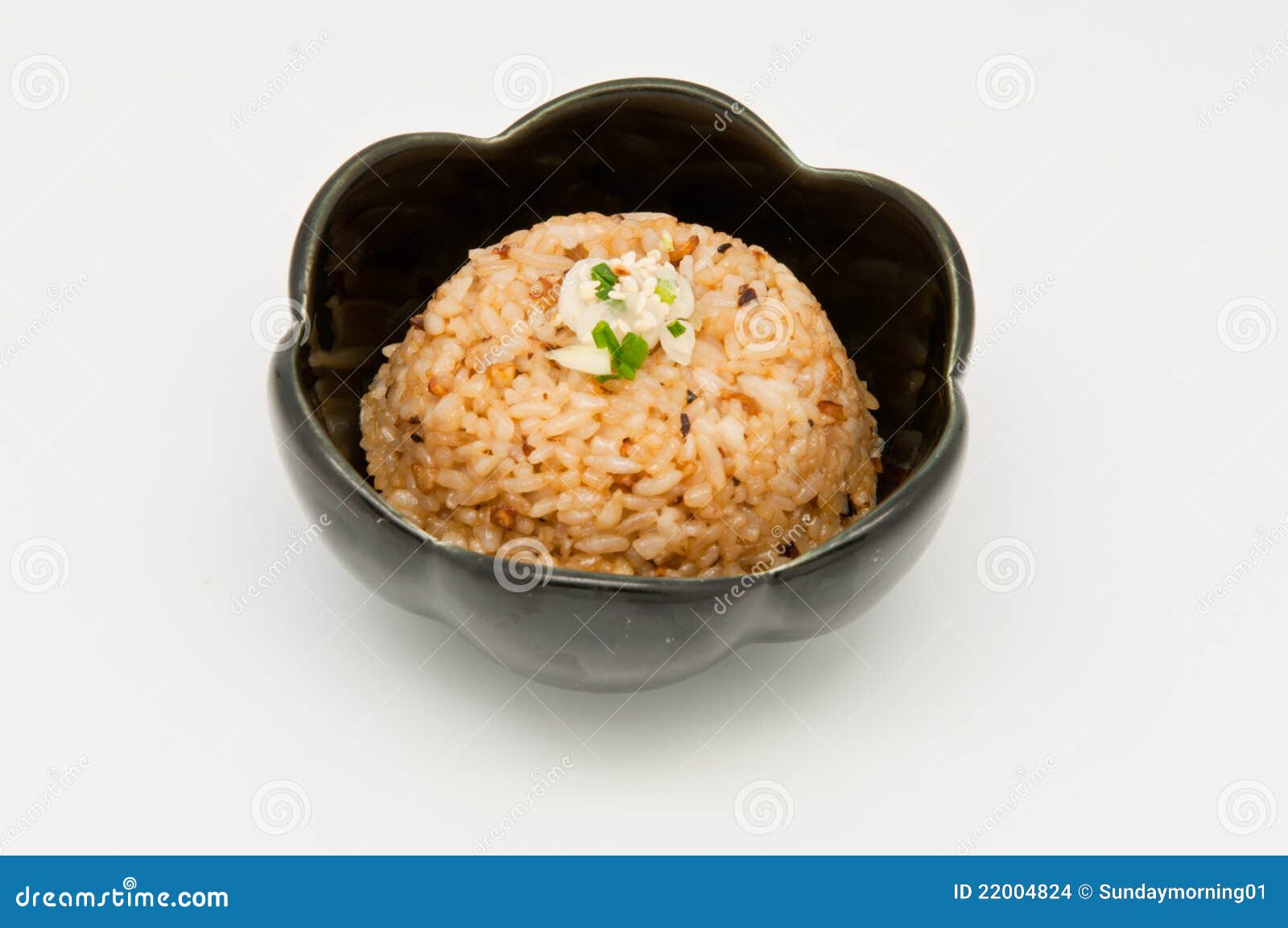 Garlic fried rice stock photo. Image of macro, background - 22004824
