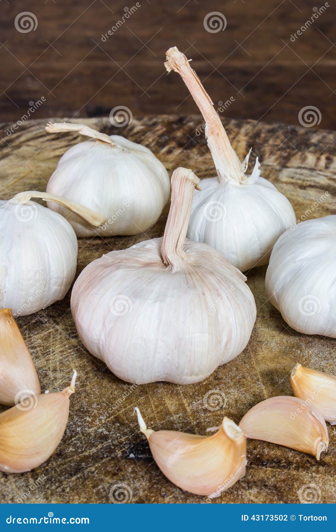 Garlic fruit on wood table stock photo. Image of health - 43173502