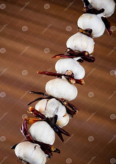 Garlic garland stock photo. Image of health, french, rope - 13694544