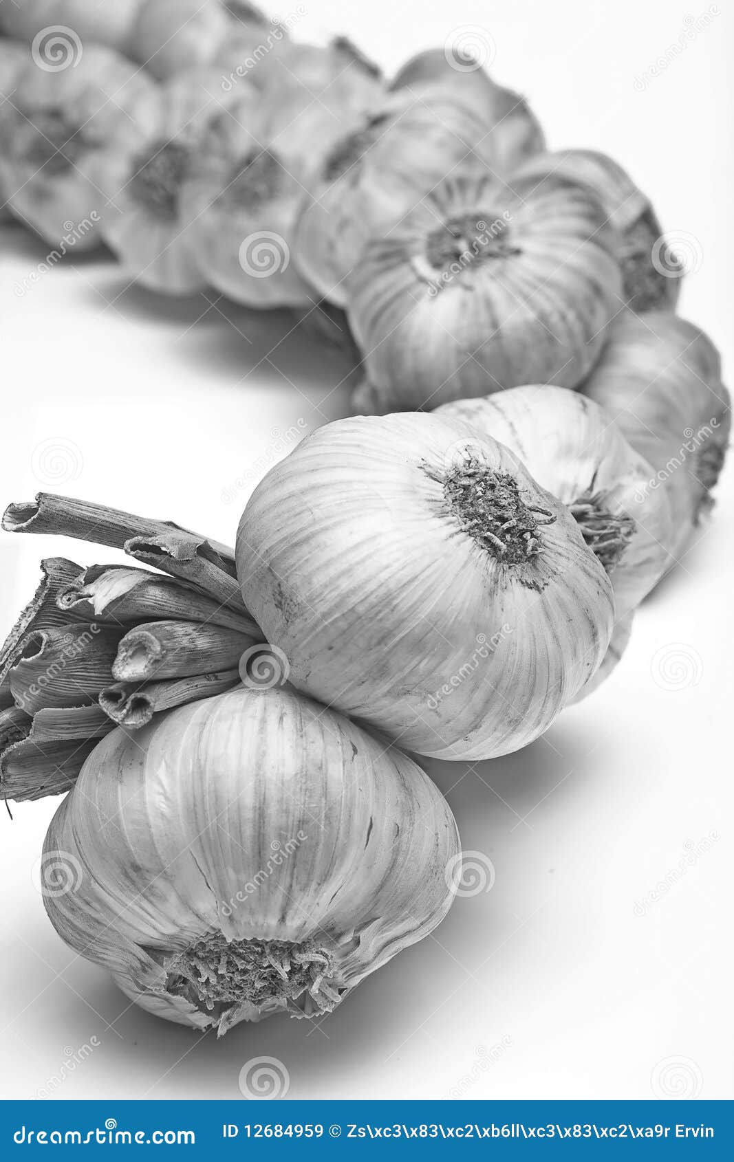 Garlic garlang stock image. Image of ingredient, food - 12684959