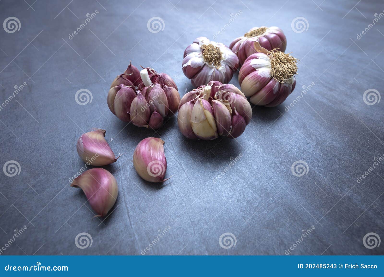 Garlic in Gray Stone, Seen from Above, Free Space for Editions Stock ...