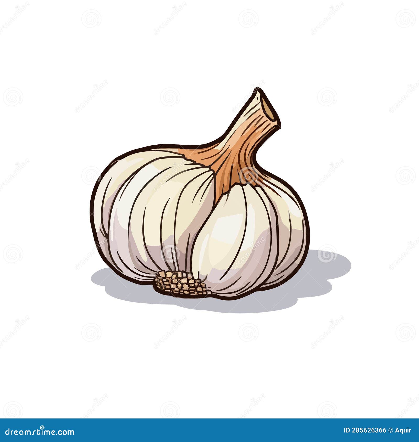 Garlic Hand-drawn Illustration. Garlic. Vector Doodle Style Cartoon ...