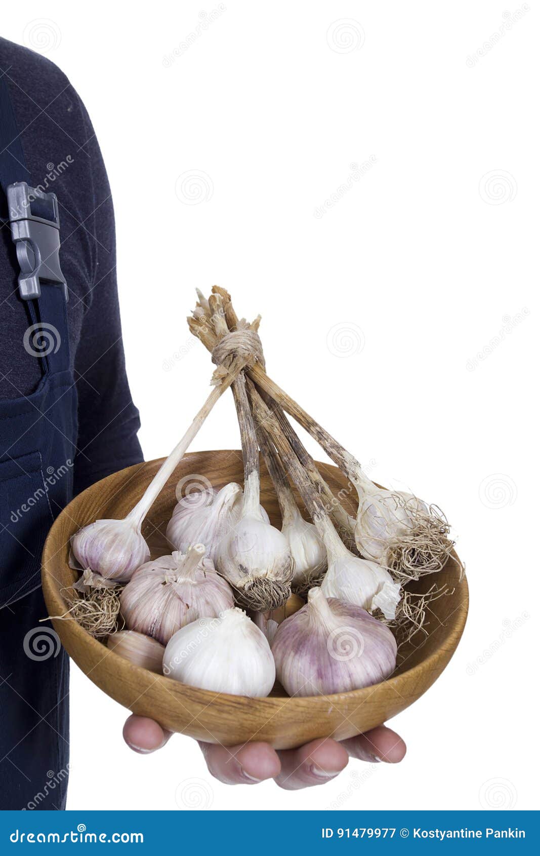 Garlic in hands stock image. Image of fresh, aroma, nutrition - 91479977