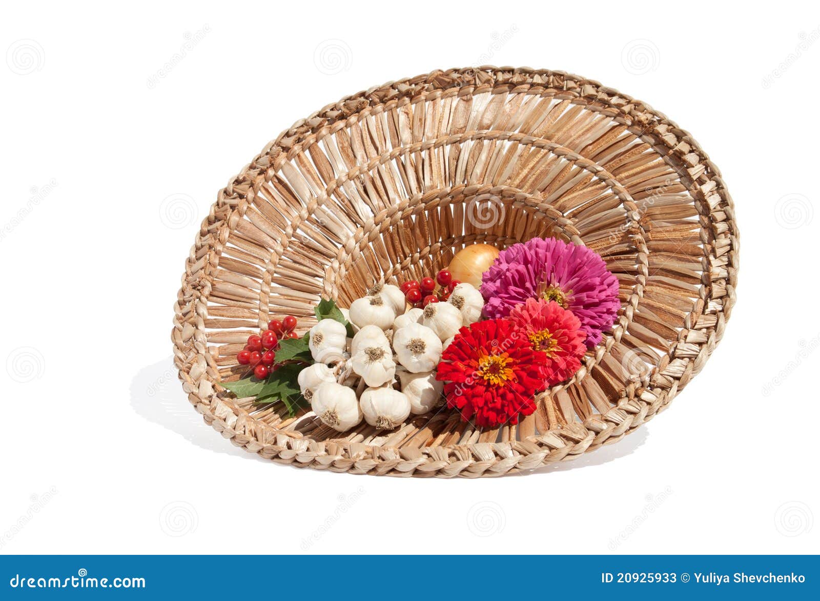 The garlic in the hat stock image. Image of thatch, napper - 20925933