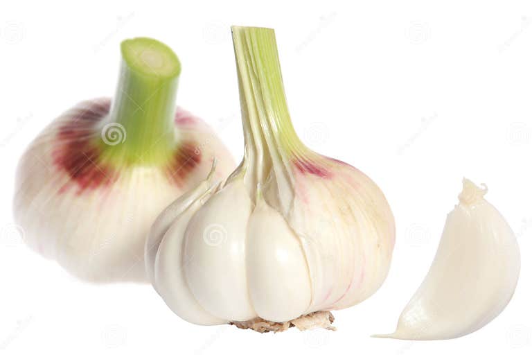 Garlic head stock image. Image of ingredient, healthy - 2523095