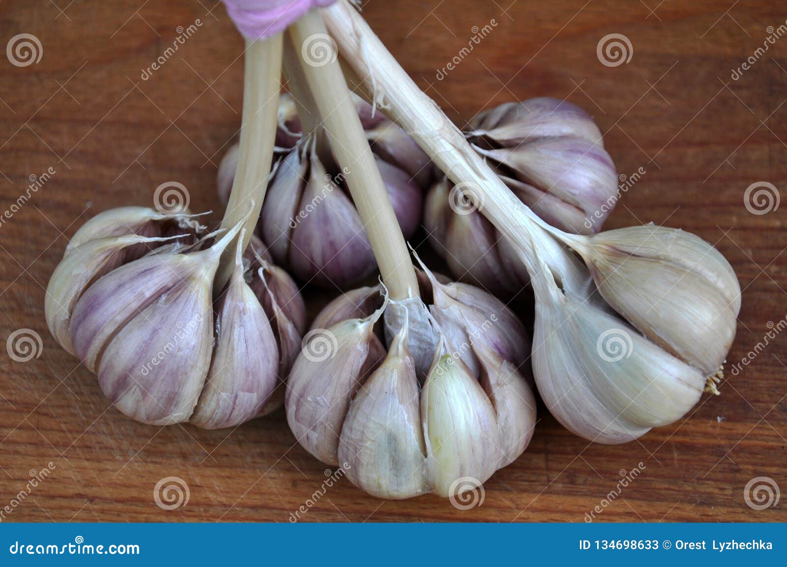 Garlic is tied to a bundle stock image. Image of food - 134698633