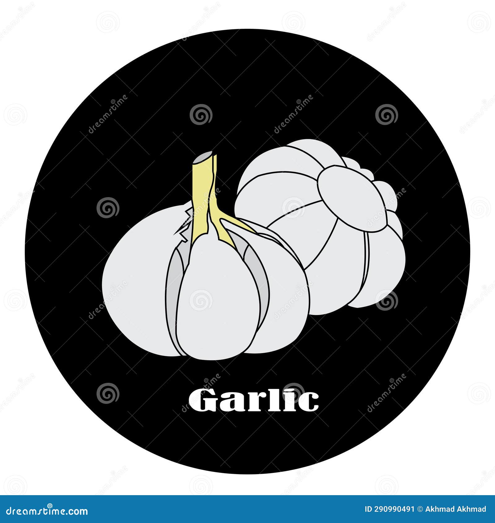 Garlic icon stock vector. Illustration of garden, plant - 290990491
