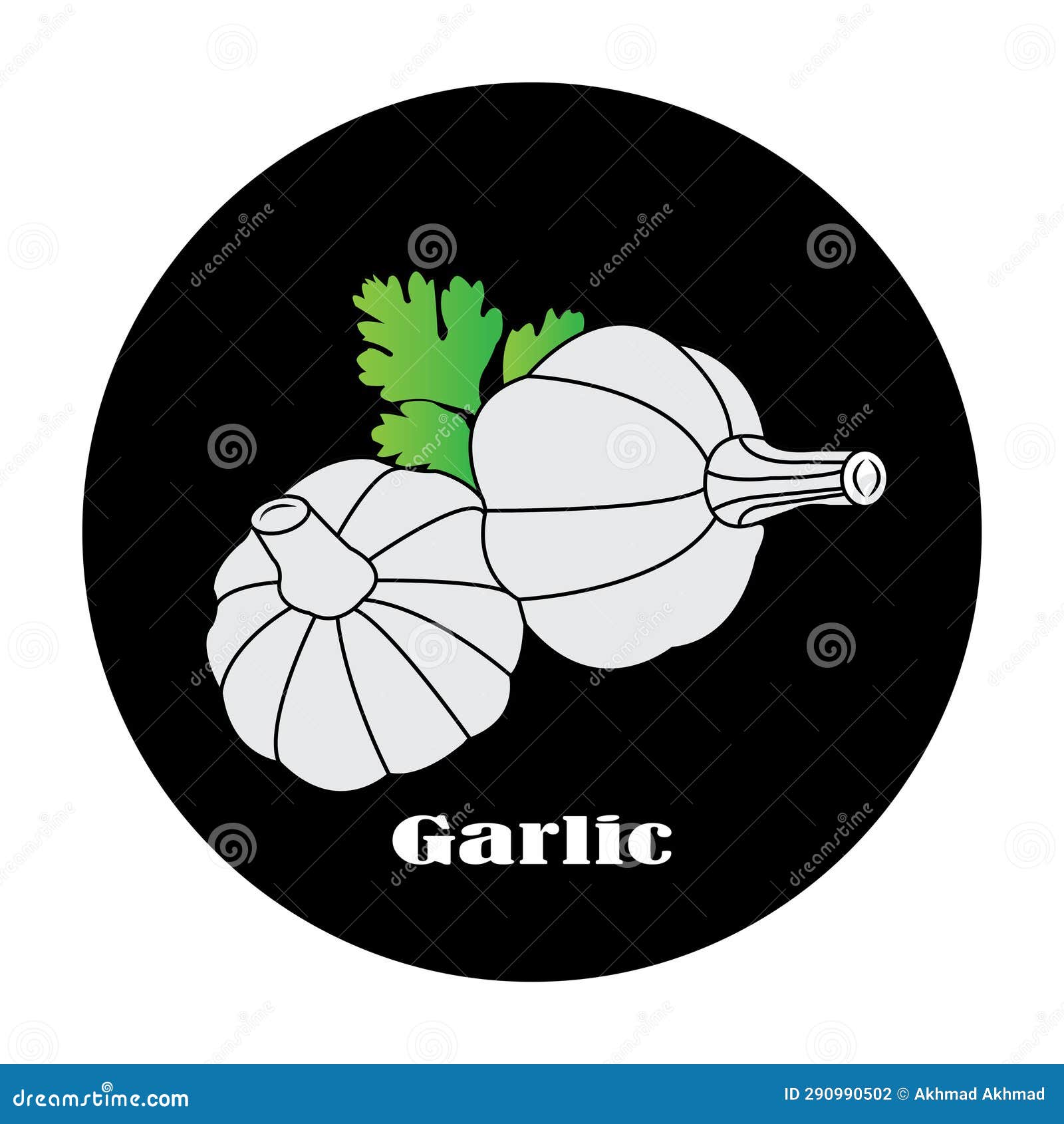 Garlic icon stock vector. Illustration of recipe, piece - 290990502