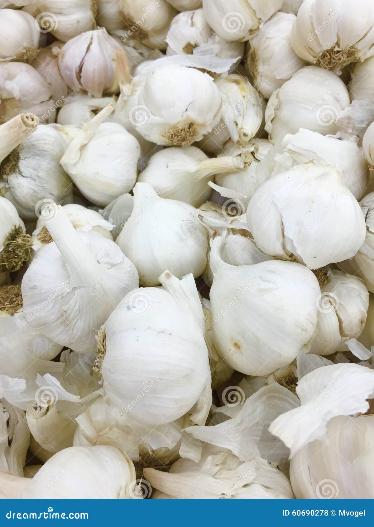 Garlic stock photo. Image of vitamins, garlic, vegetables - 60690278