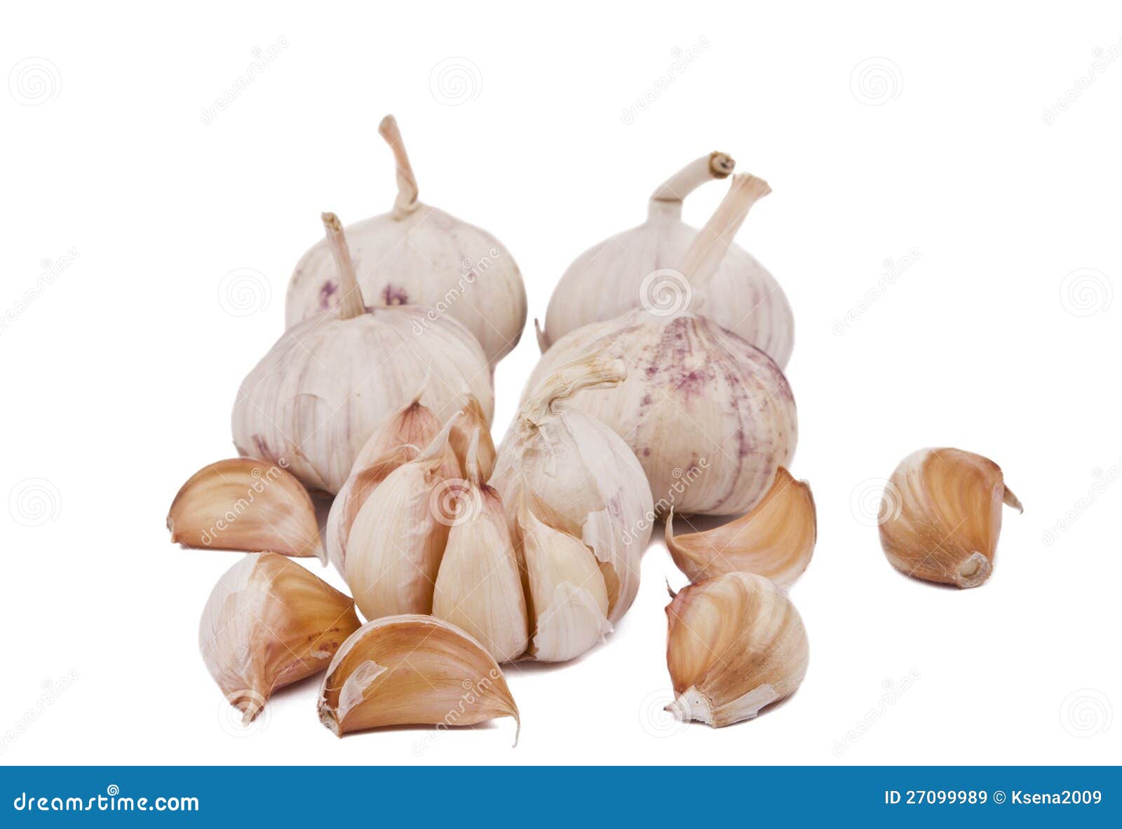 Garlic isolated stock image. Image of isolated, food - 27099989
