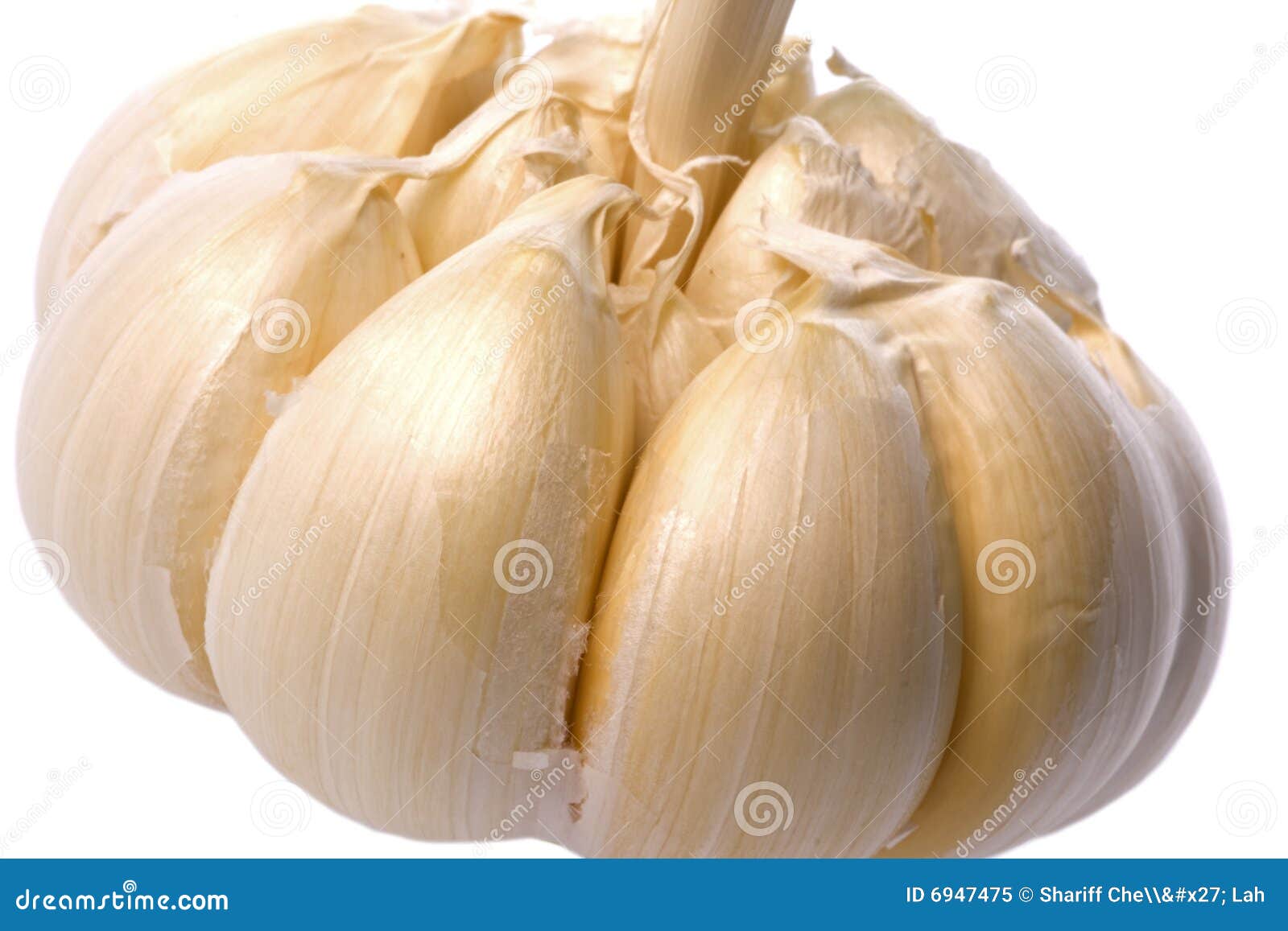 Garlic Isolated stock image. Image of vegetarian, isolated - 6947475