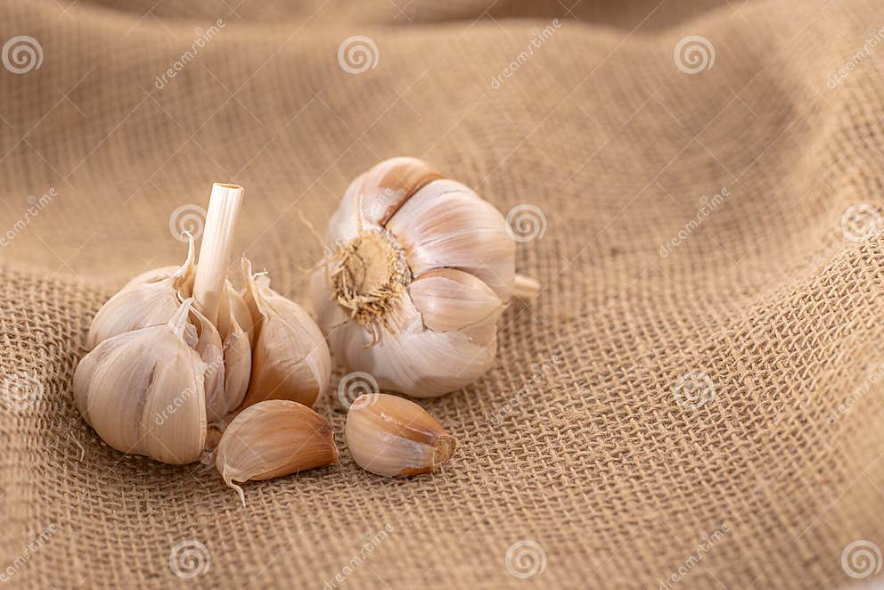 Garlic Isolated on Fabric Background Stock Photo - Image of farmer ...