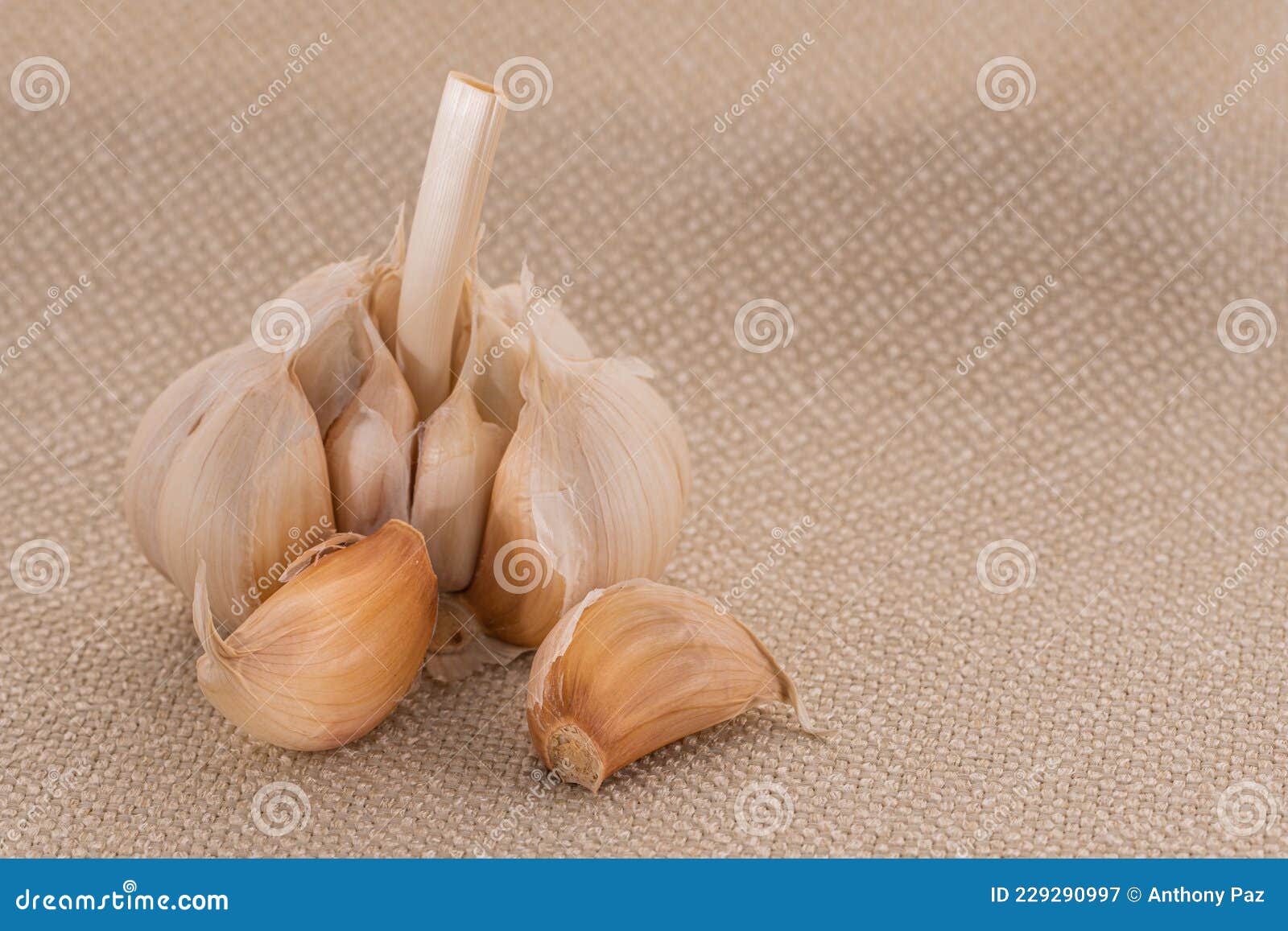 Garlic Isolated on Fabric Background Stock Image - Image of nutrition ...