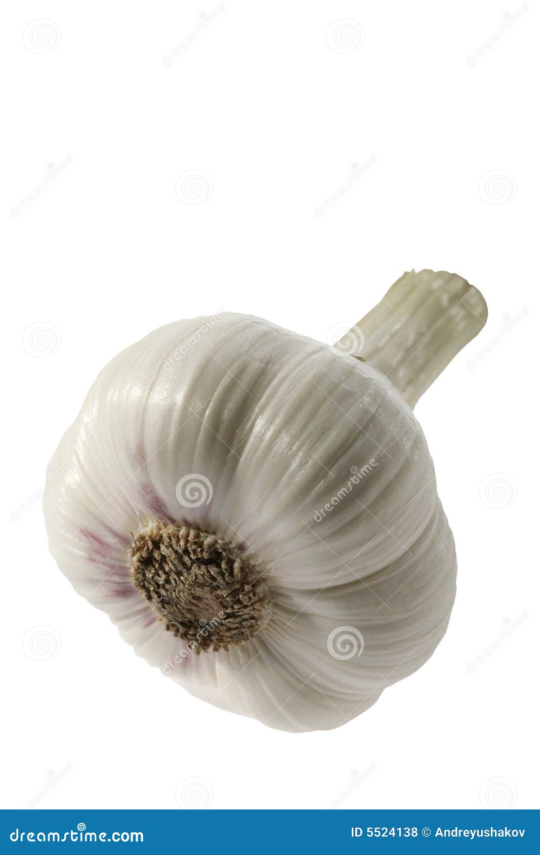 Garlic Isolated on the White Stock Photo - Image of healthy, spicy: 5524138